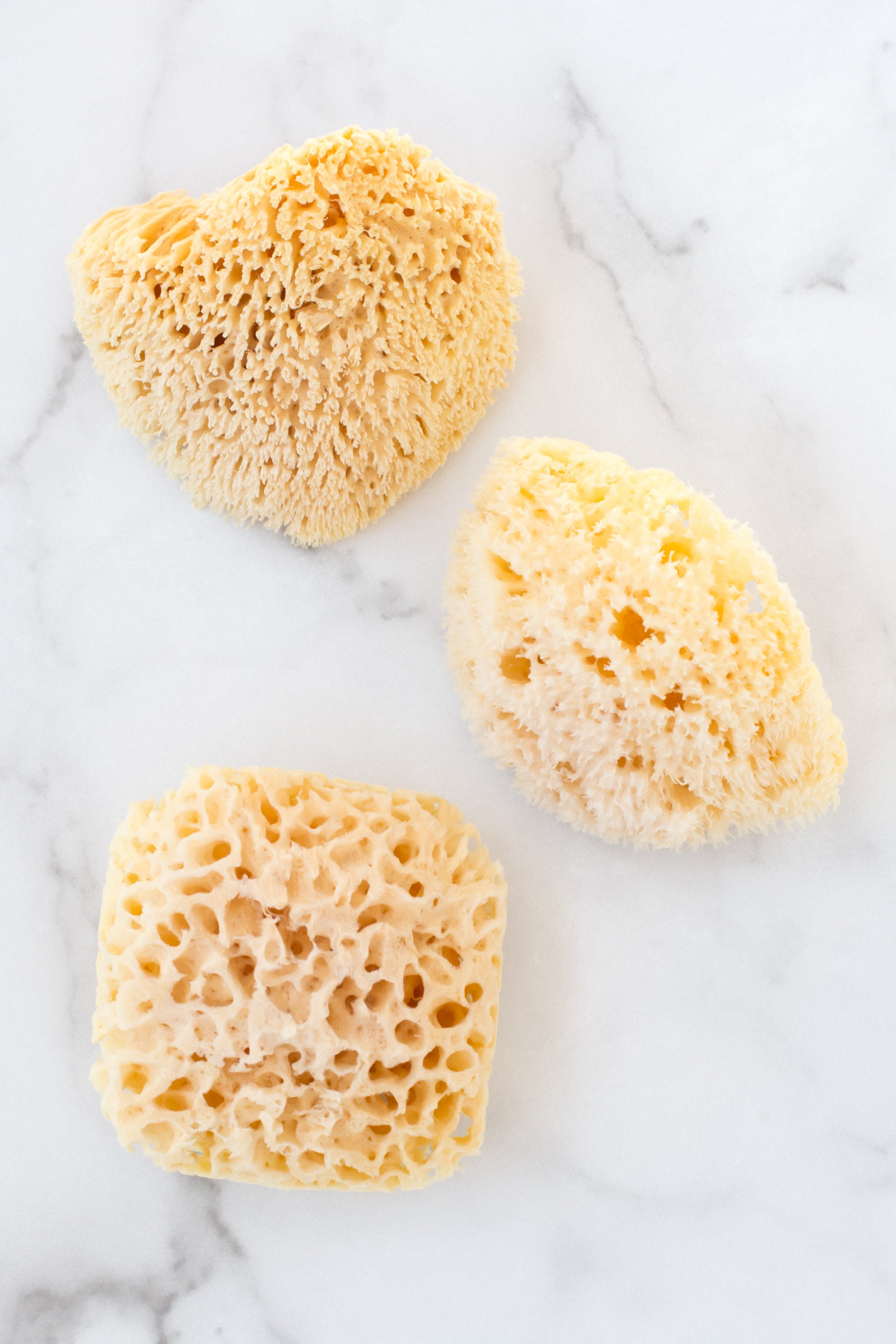 Wool Sea Sponge – Gathered Home